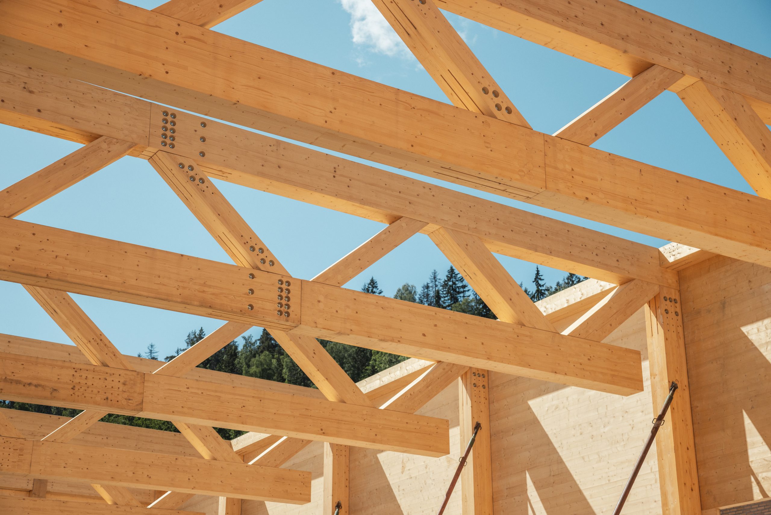 Emma Hjorth Mass Timber School - Acetra